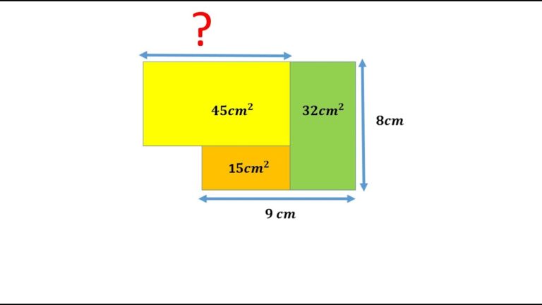 Todo lo que Necesitas Saber sobre la Base del Rectángulo: Definición ...
