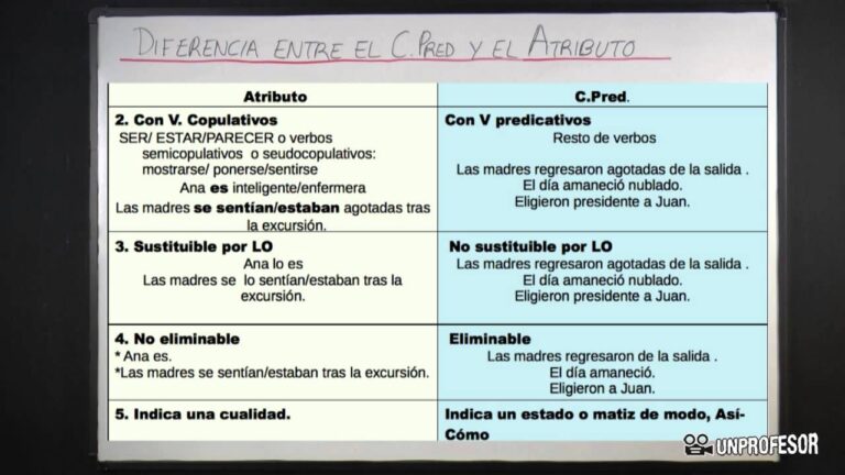 Diferencia entre Atributo y Complemento Predicativo: Guía Completa para ...