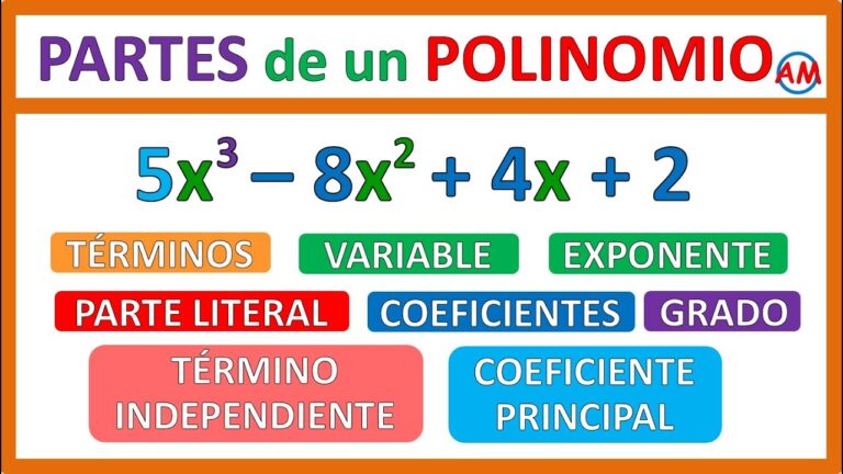 Las Partes del Polinomio: Definición, Tipos y Ejemplos Clave ...